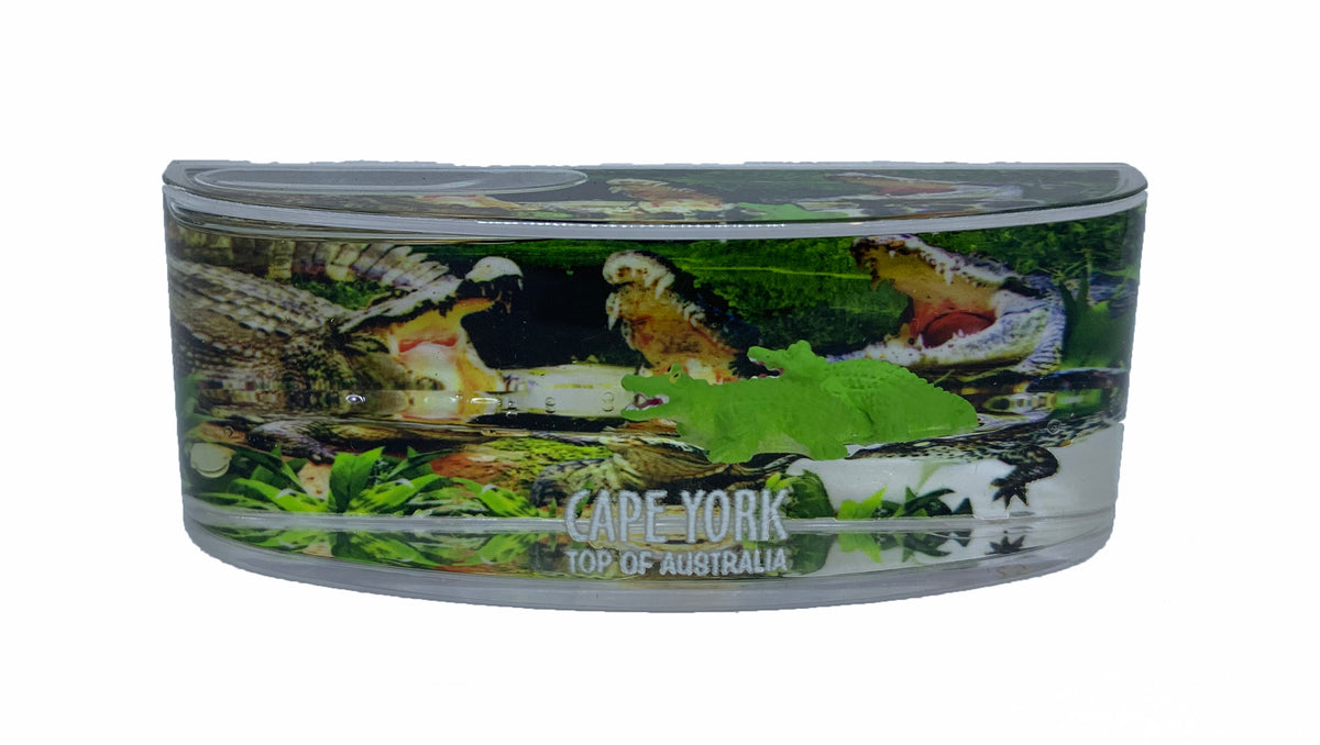 Crocodiles Oily Magnet – The Croc Tent Cape York